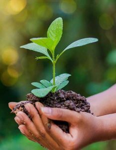 Environmental Resource Management Limited – – ERML